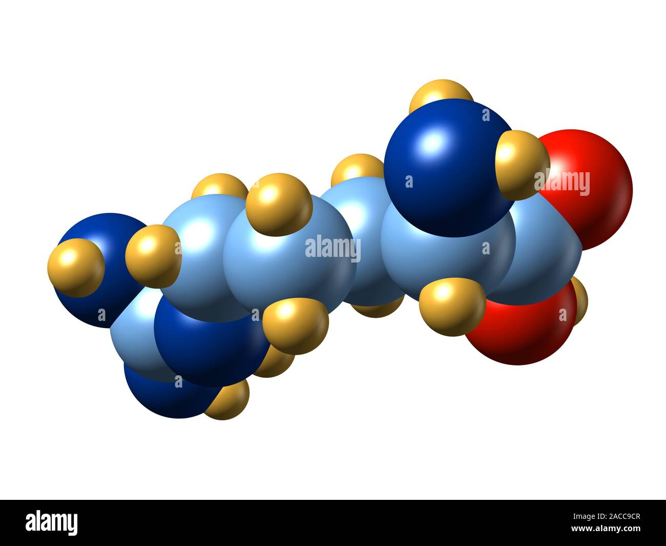 Arginine. Molecular model of the amino acid arginine. Its chemical ...