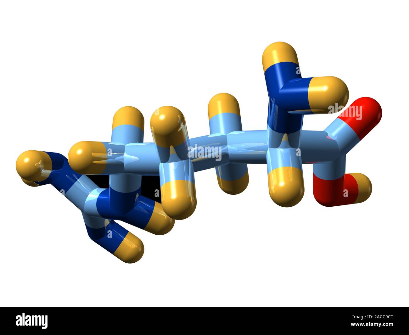 Arginine. Molecular model of the amino acid arginine. Its chemical ...