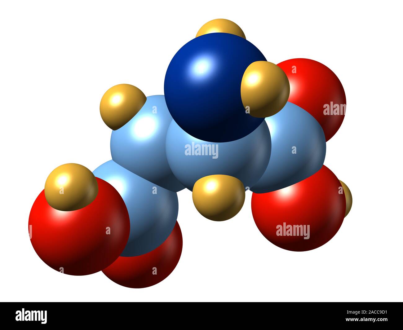 Aspartic acid. Molecular model of the amino acid aspartic acid. Its ...