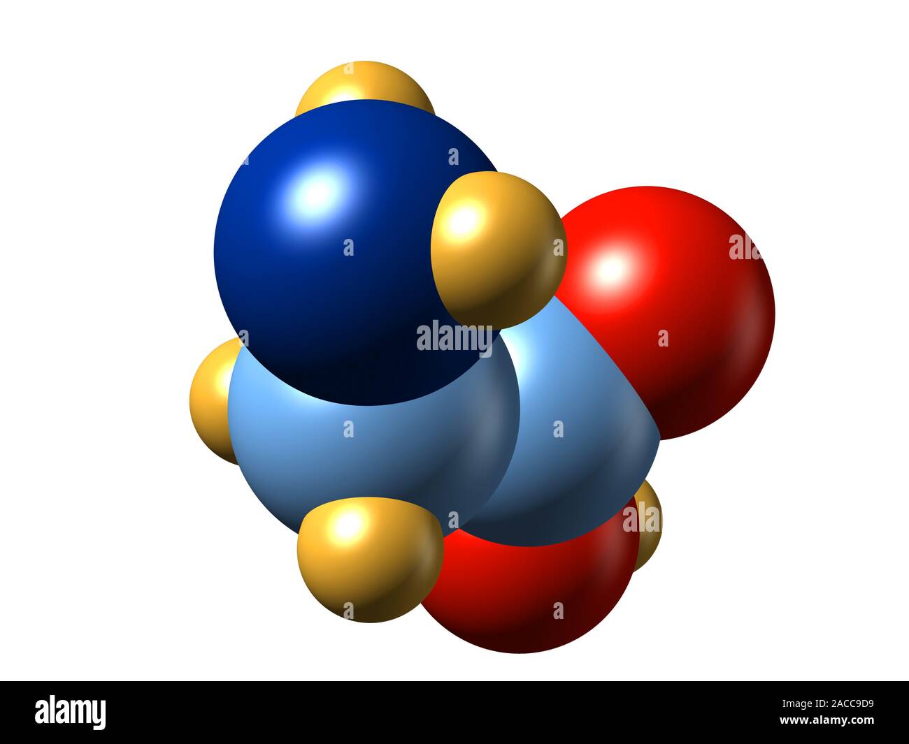 Glycine. Molecular model of the amino acid glycine. Its chemical ...