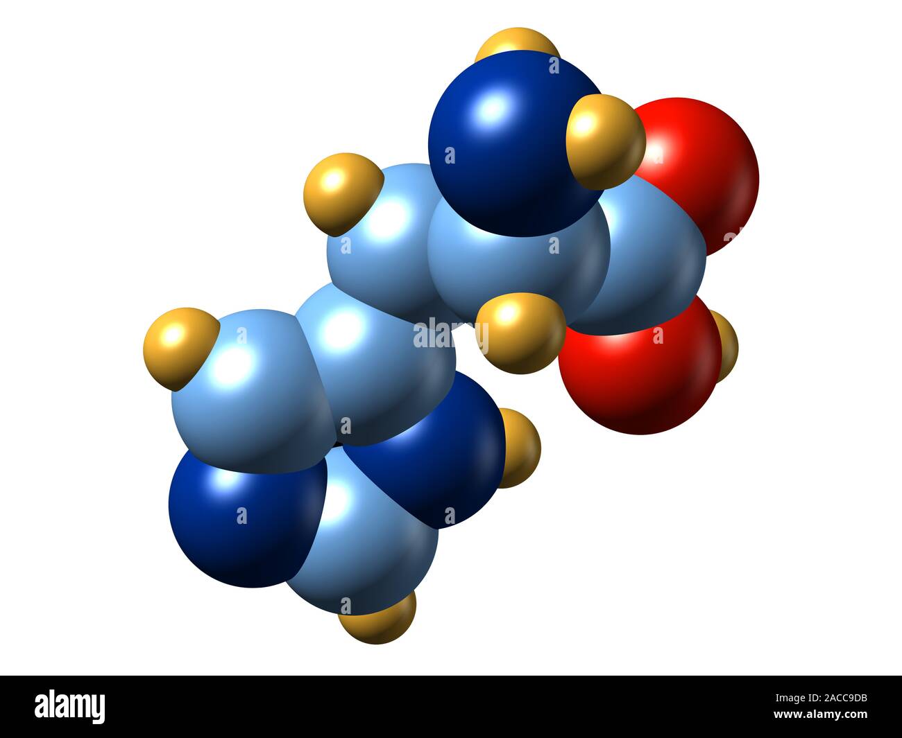 Histidine. Molecular model of the amino acid histidine. Its chemical ...