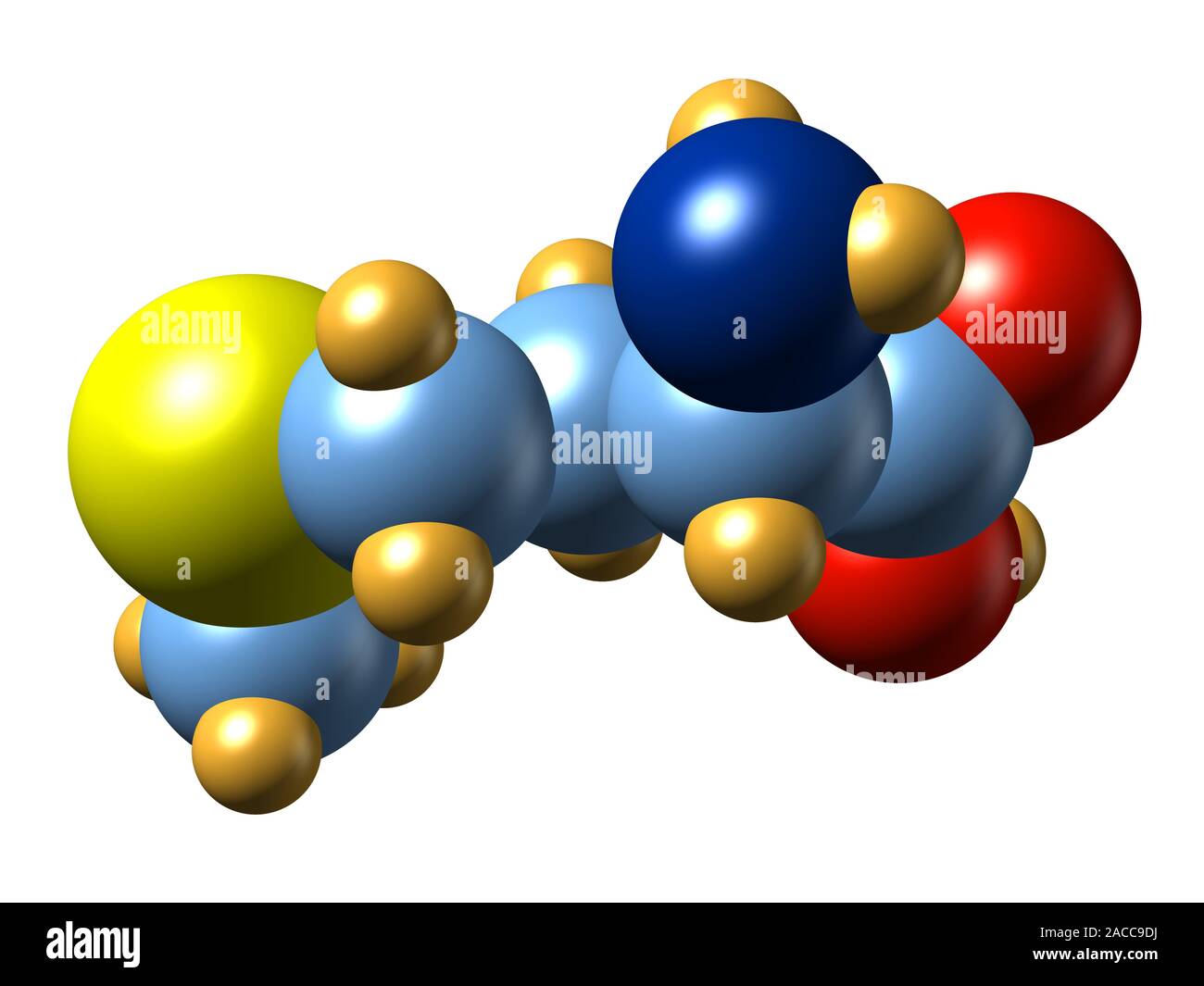 Methionine. Molecular model of the amino acid methionine. Its chemical ...