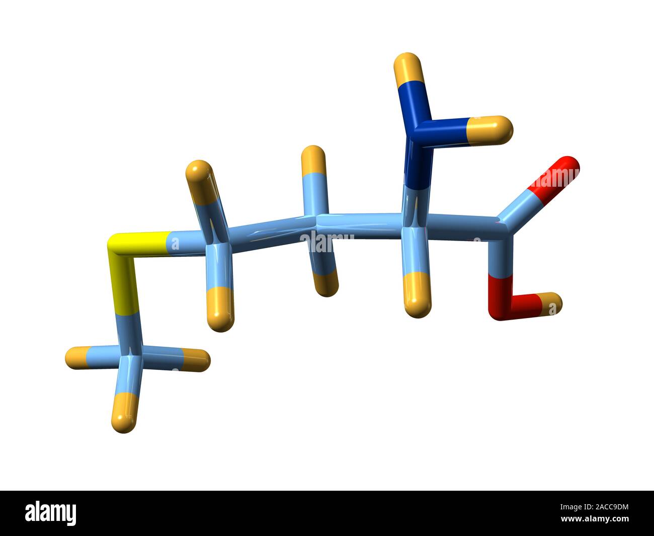 Methionine. Molecular model of the amino acid methionine. Its chemical ...