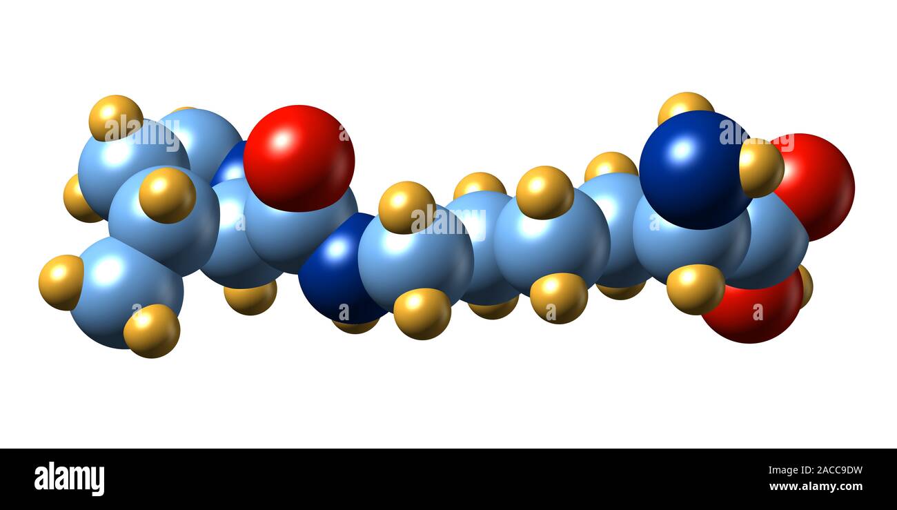 Pyrrolysine. Molecular model of the amino acid pyrrolysine. Its ...