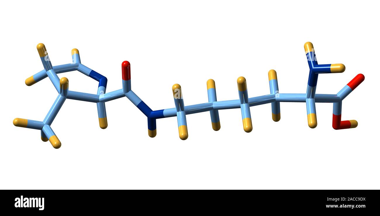 Pyrrolysine. Molecular model of the amino acid pyrrolysine. Its ...