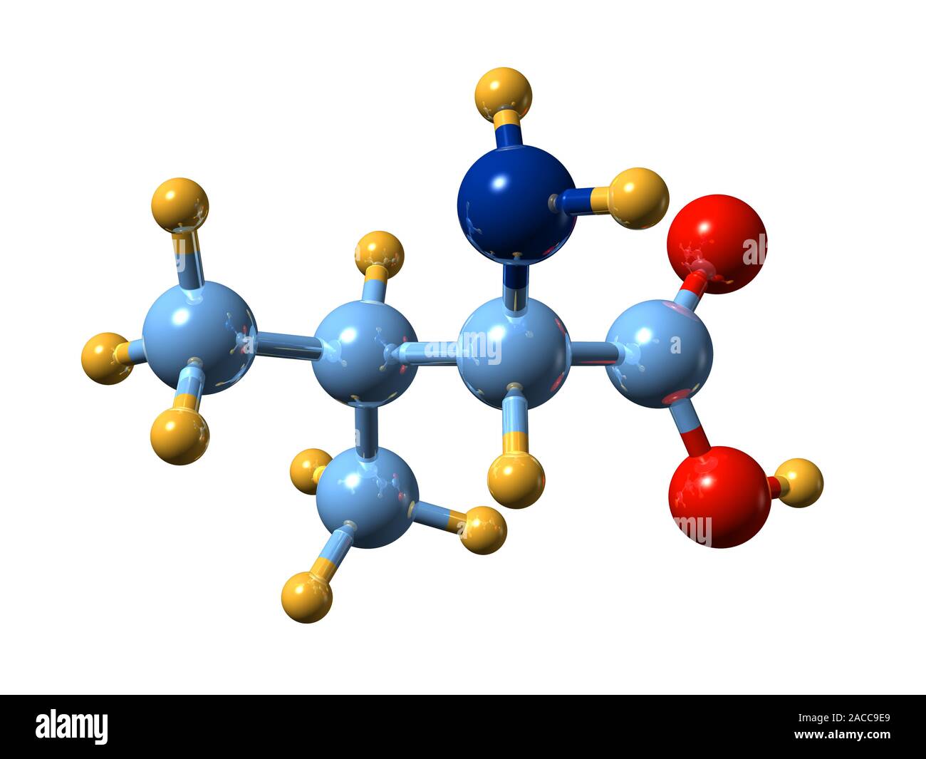 Valine. Molecular model of the amino acid valine. Its chemical formula ...