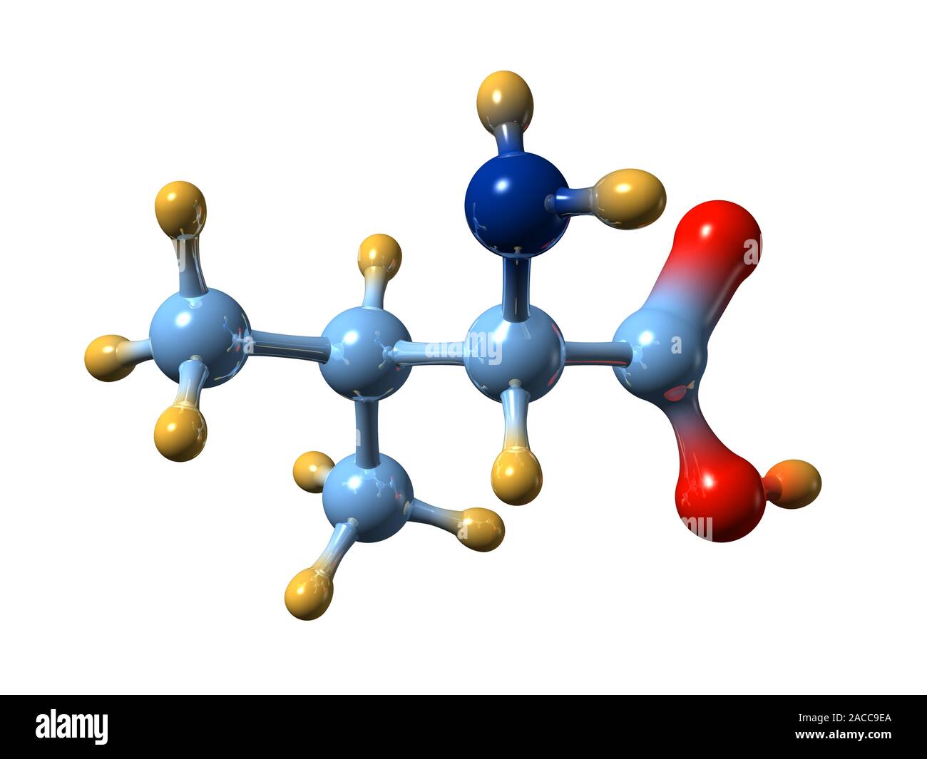 Valine. Molecular model of the amino acid valine. Its chemical formula ...
