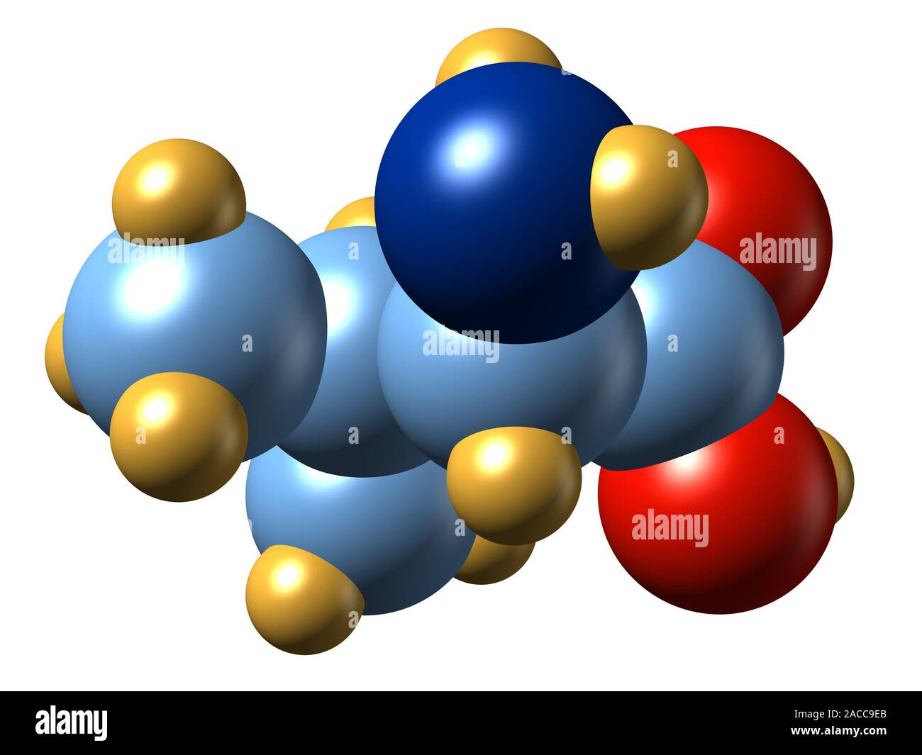 Valine. Molecular model of the amino acid valine. Its chemical formula ...