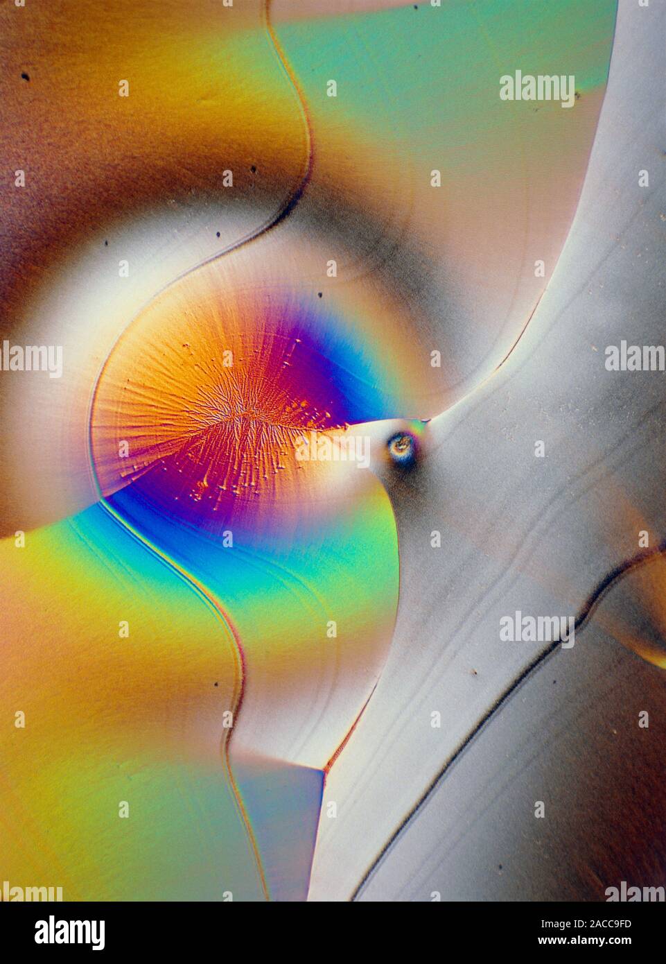 Polarised light micrograph of crystals of vitamin C (ascorbic acid ...