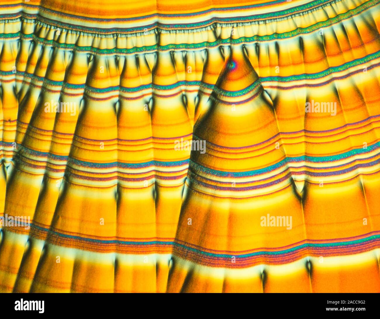 Vitamin C. Polarised light micrograph (PLM) of crystals of vitamin C ...
