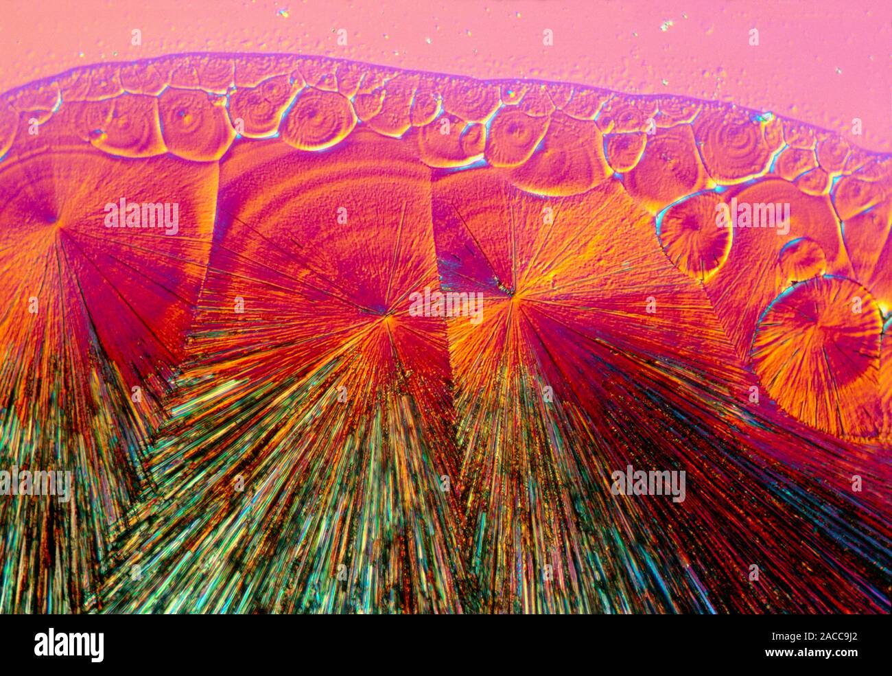 Vitamin B12. Polarised light micrograph of crystals of Vitamin B12 ...