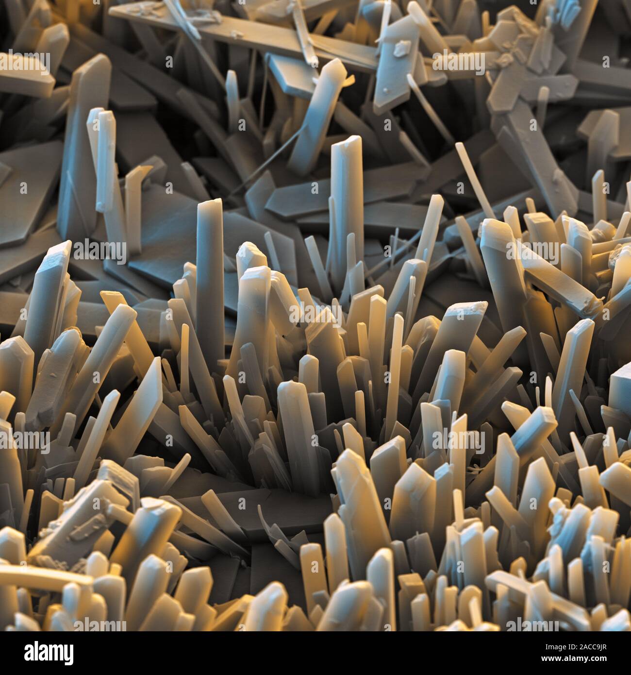 Nicotinamide Crystals Coloured Scanning Electron Micrograph Sem This Is The Amide Of