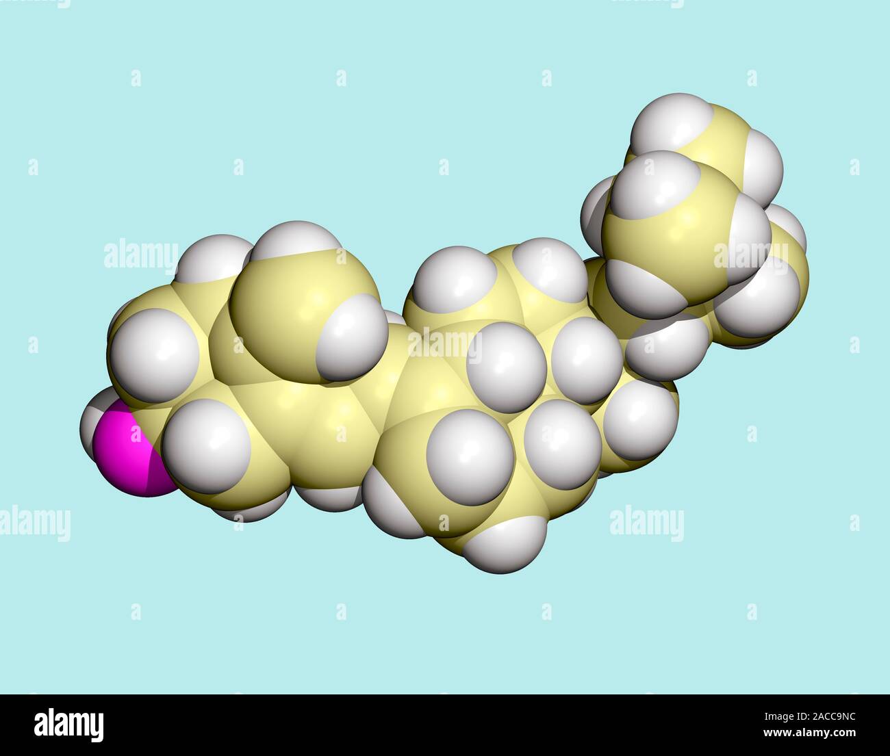 Vitamin D2. Computer model of a molecule of vitamin D2 (ergocalciferol ...