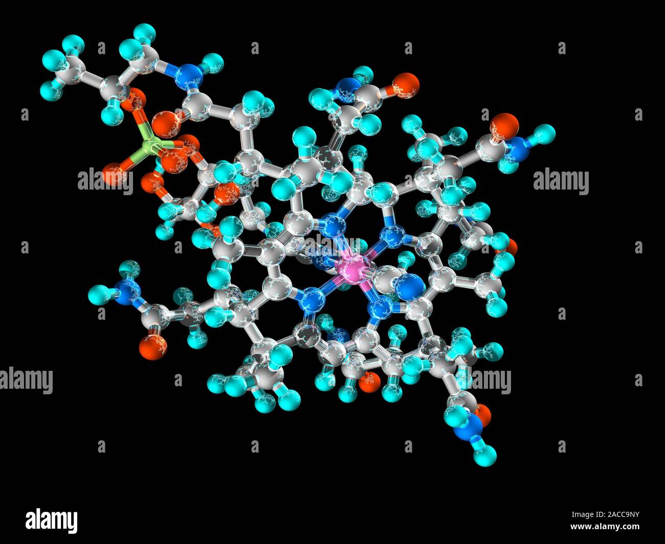 Vitamin B12, molecular model. Vitamin B12 (cyanocobalamin) is an ...