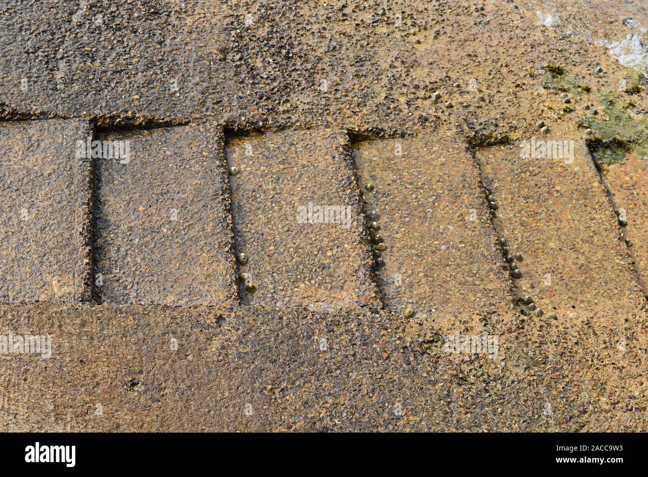Steps to the sea, Freshwater Bay, Isle of Wight, United Kingdom Stock ...