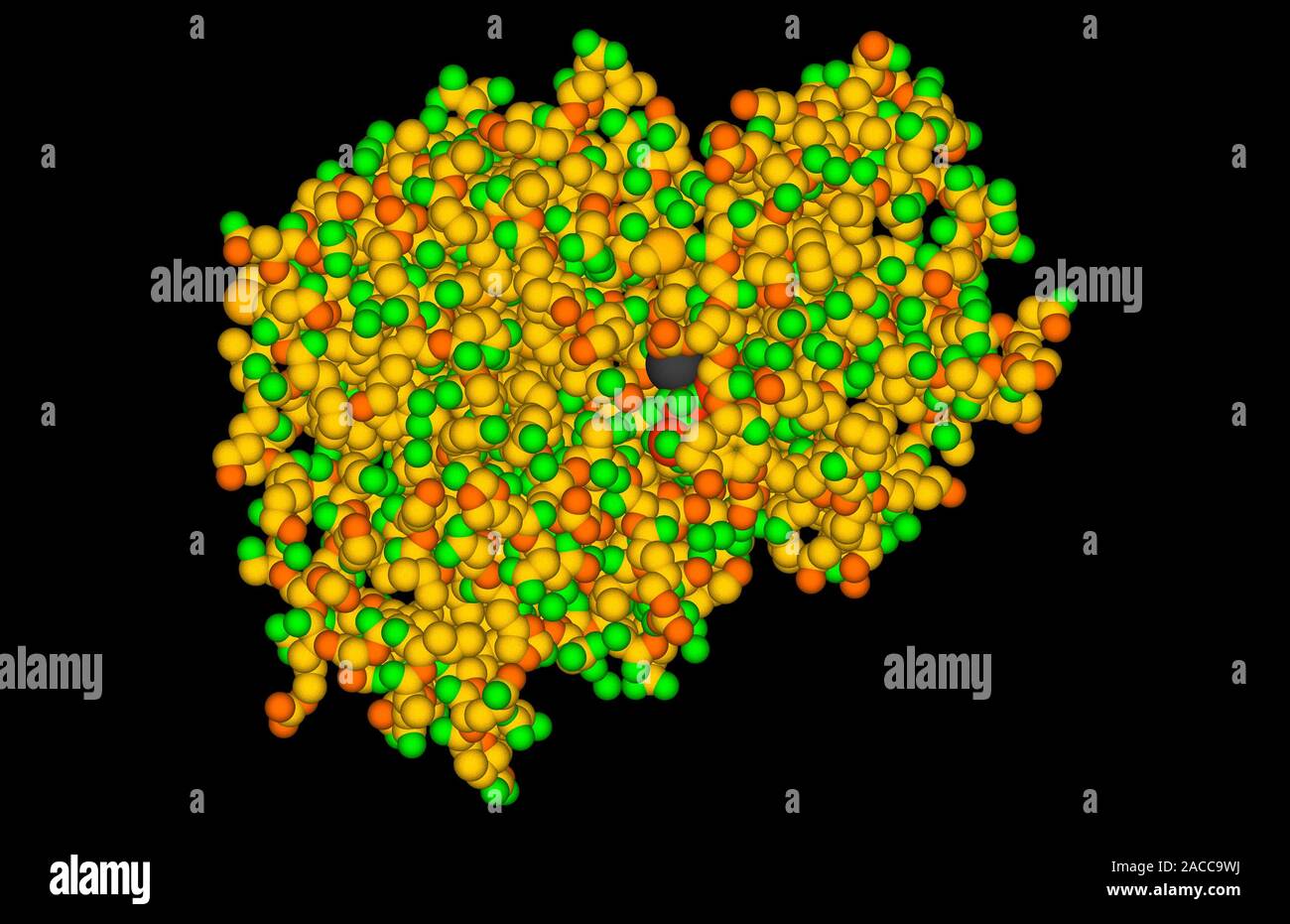 Casein. Computer artwork of a molecule of the milk protein casein. The ...