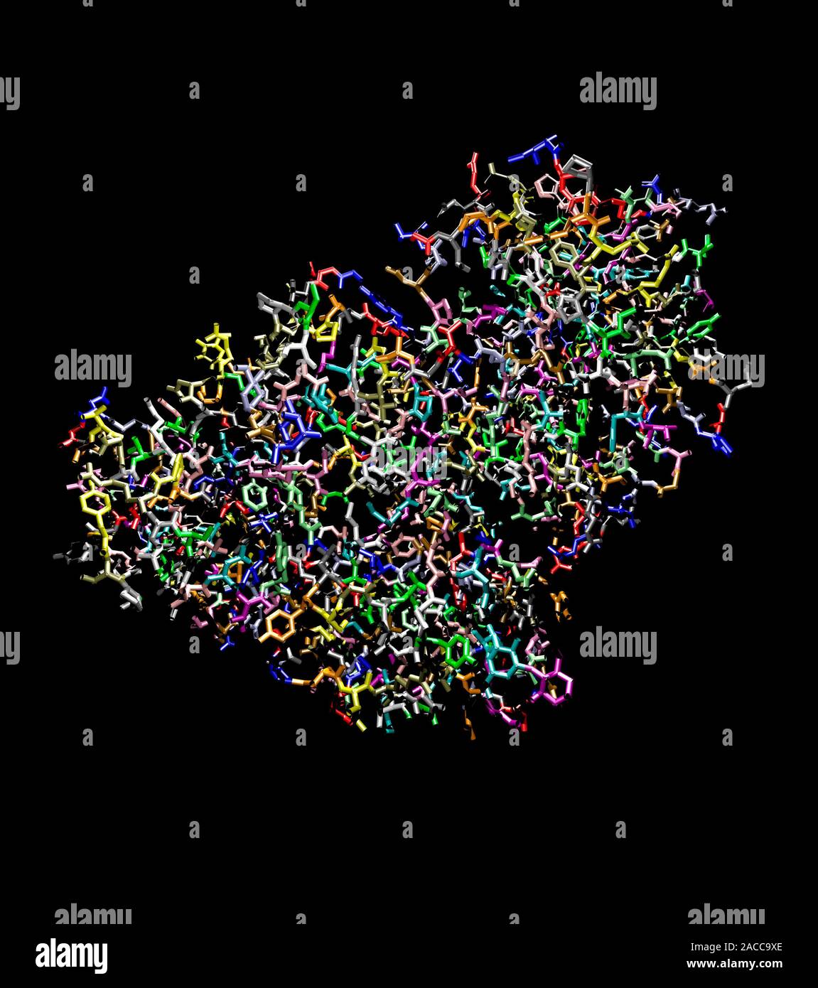 Ricin. Computer model of a molecule of the toxic protein ricin. It ...