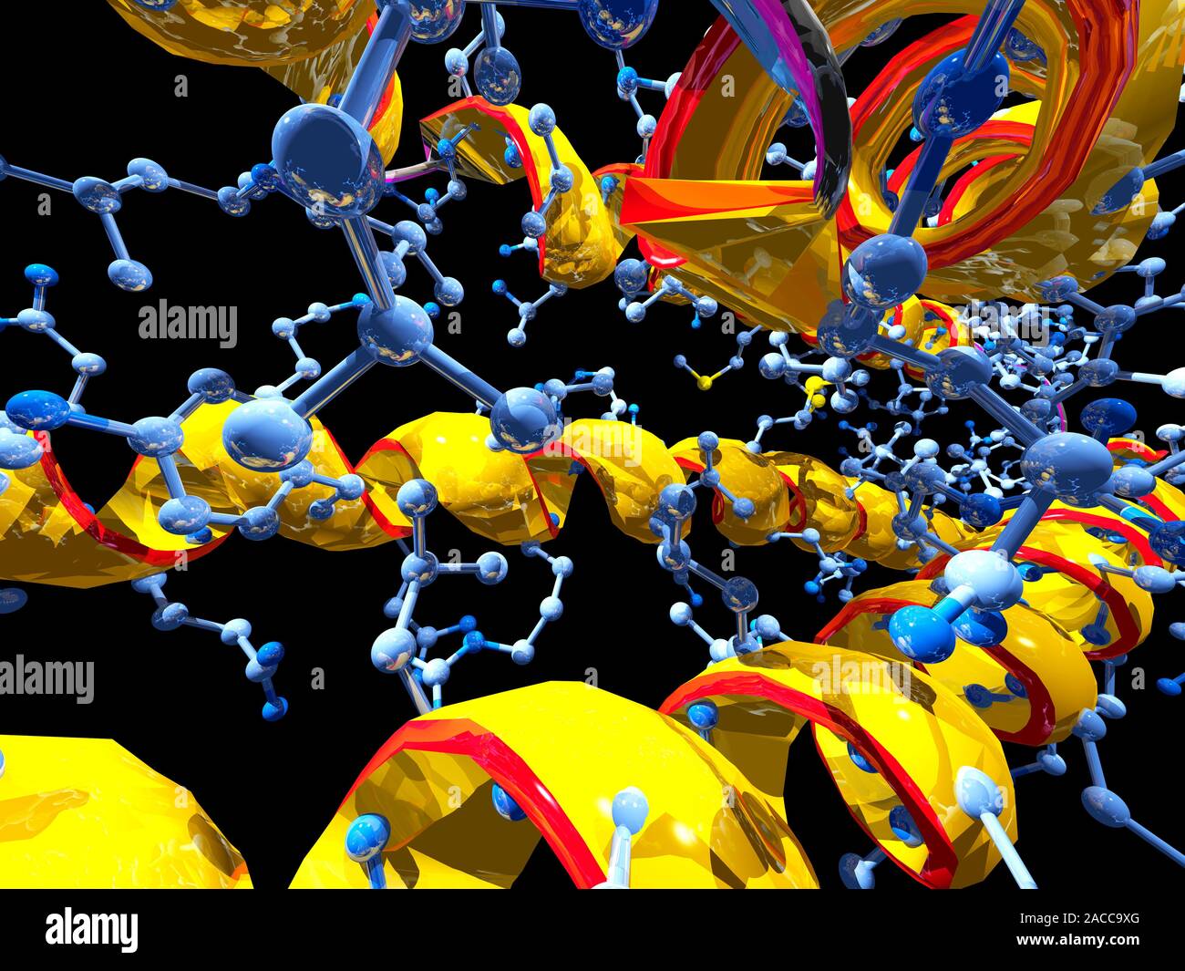 ApoE protein. Computer model of an apoE molecule. ApoE is classed as an ...