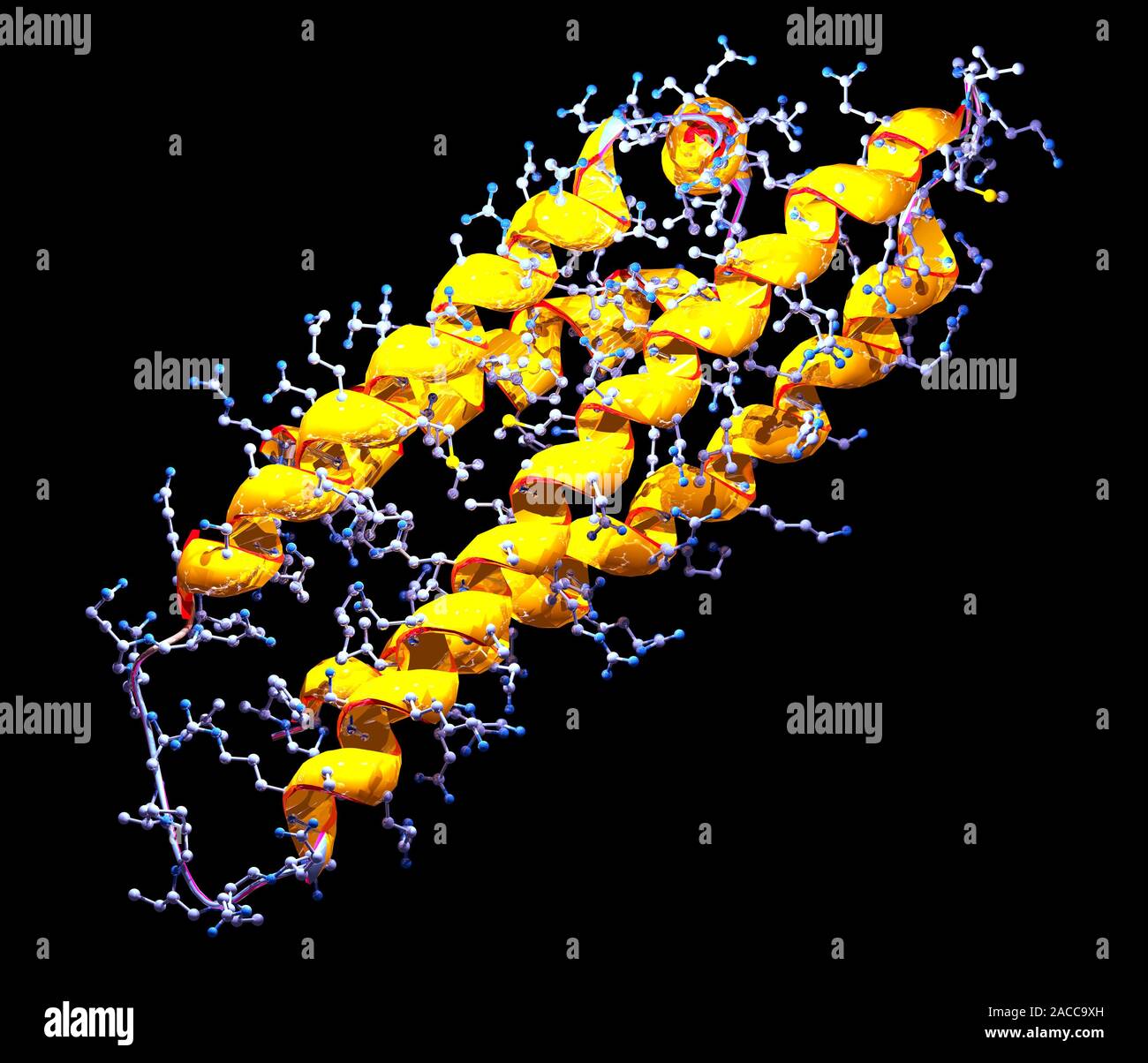 ApoE protein. Computer model of an apoE molecule. ApoE is classed as an ...