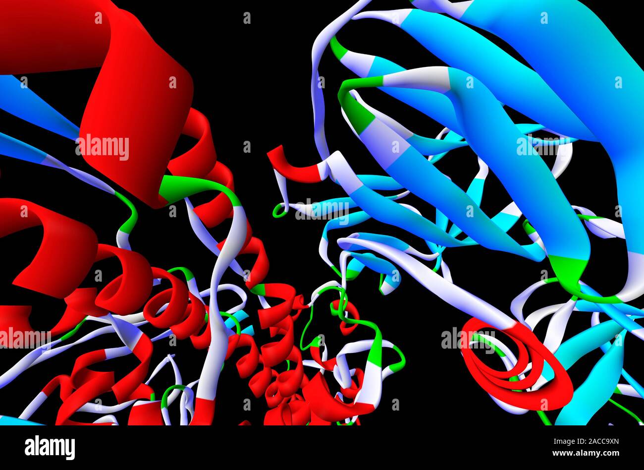 Botulinum toxin, computer model. This is a highly toxic protein ...