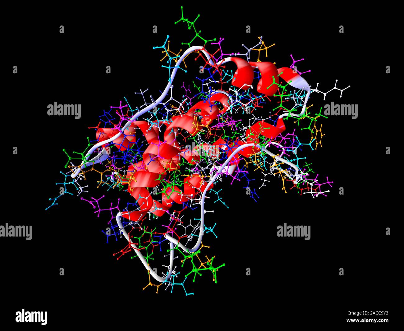 Interleukin-6. Molecular model of a molecule of the cytokine protein ...