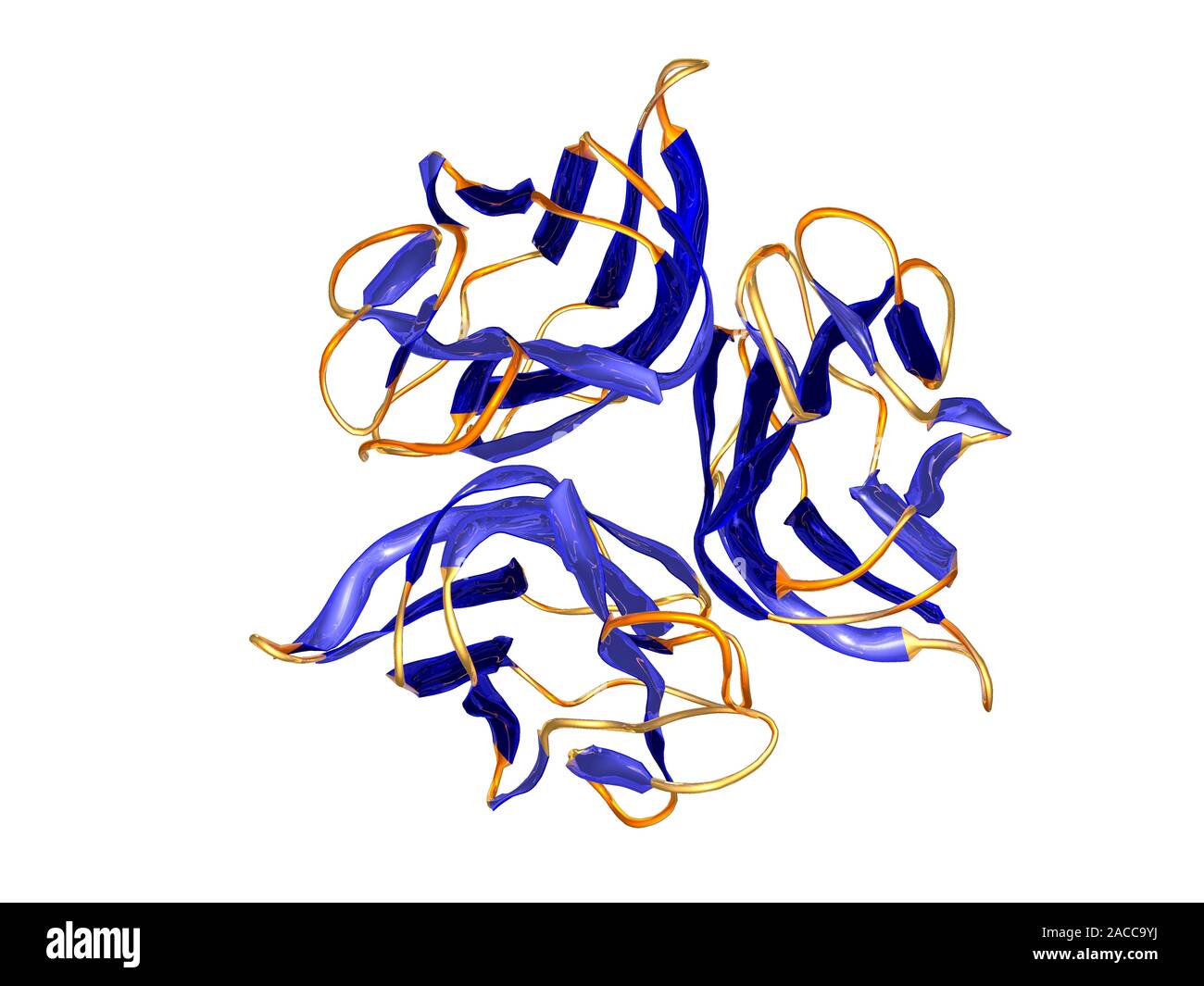 Tumour necrosis factor-alpha (TNF-alpha), computer model. This molecule ...