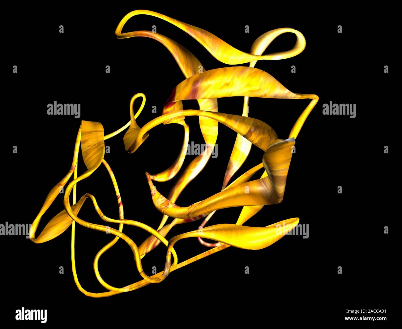 Blood clotting protein. Computer molecular model of Factor VIII ...