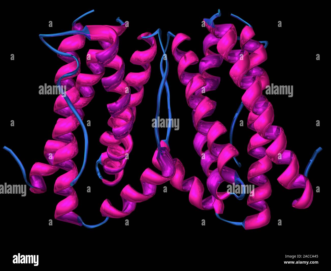 Interleukin-6. Molecular model of the secondary structure of the ...