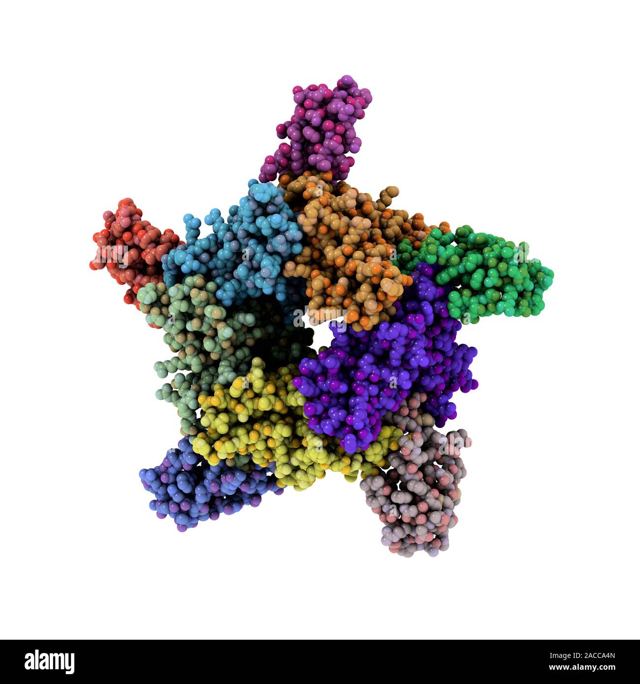 Cobra (Naja sp.) venom action. Molecular model showing the quaternary ...