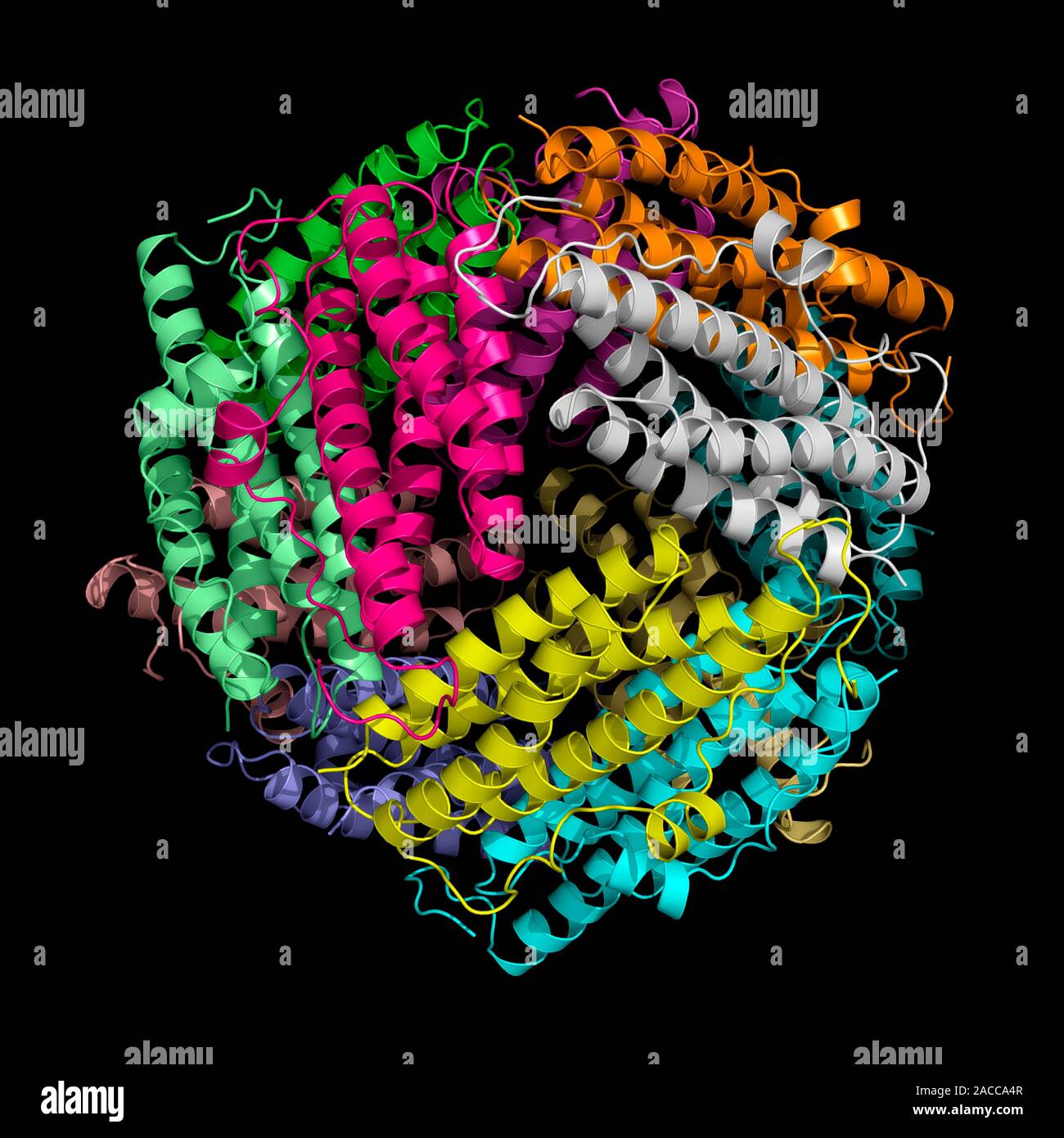 Iron containing protein. Molecular model showing the secondary ...
