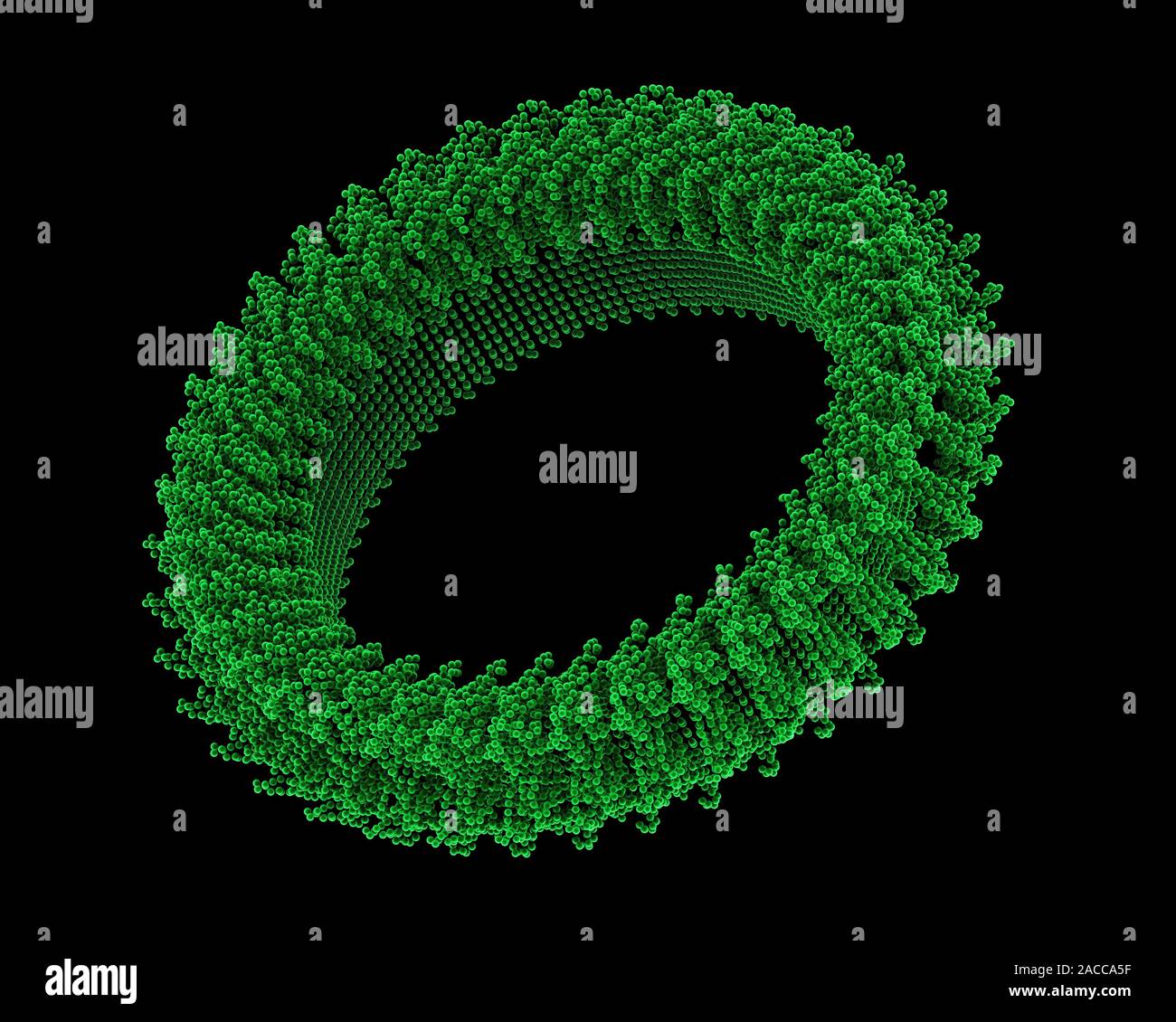 Pore forming bacterial toxin. Computer model showing the molecular ...