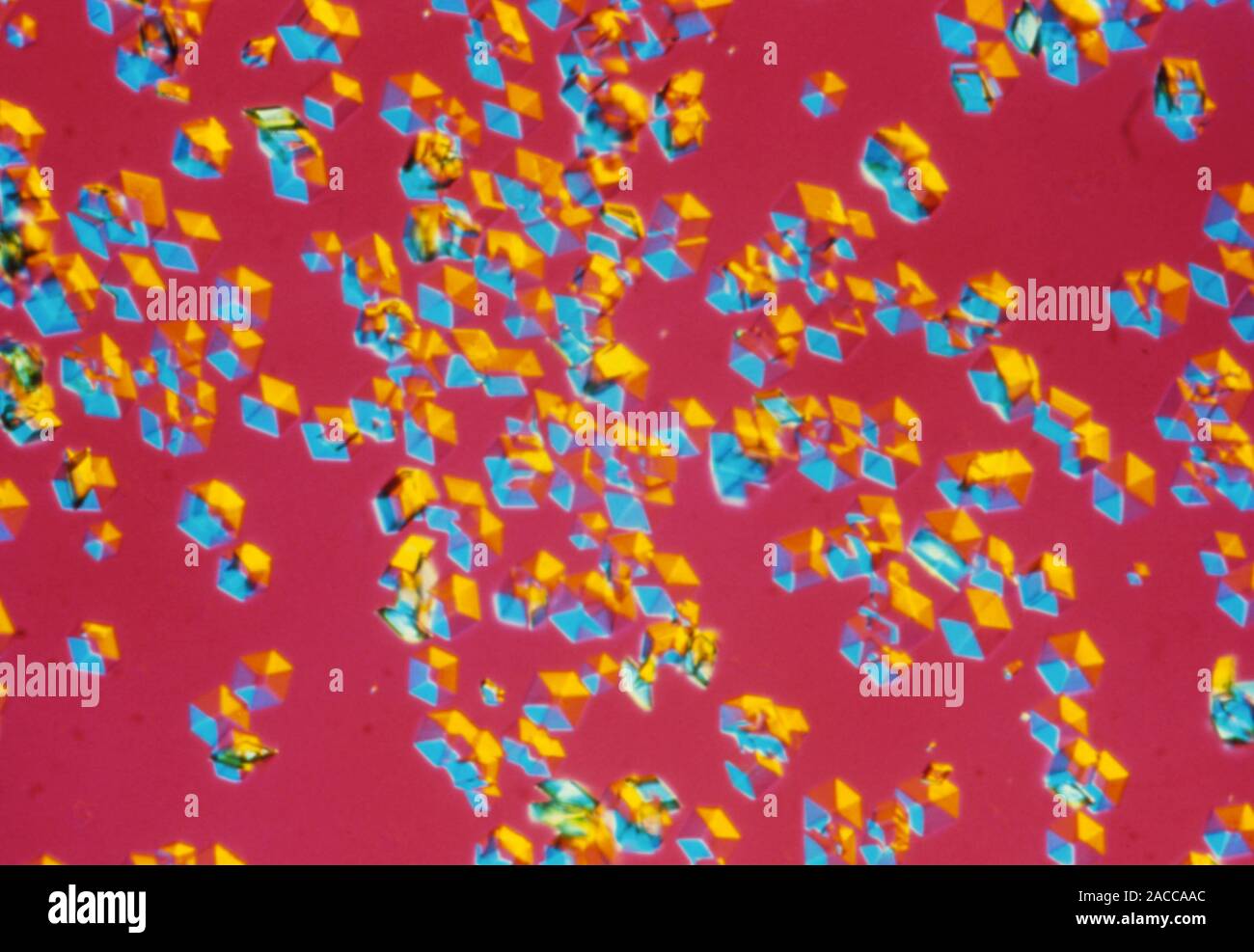 Insulin. Polarised light micrograph of crystals of the hormone insulin ...