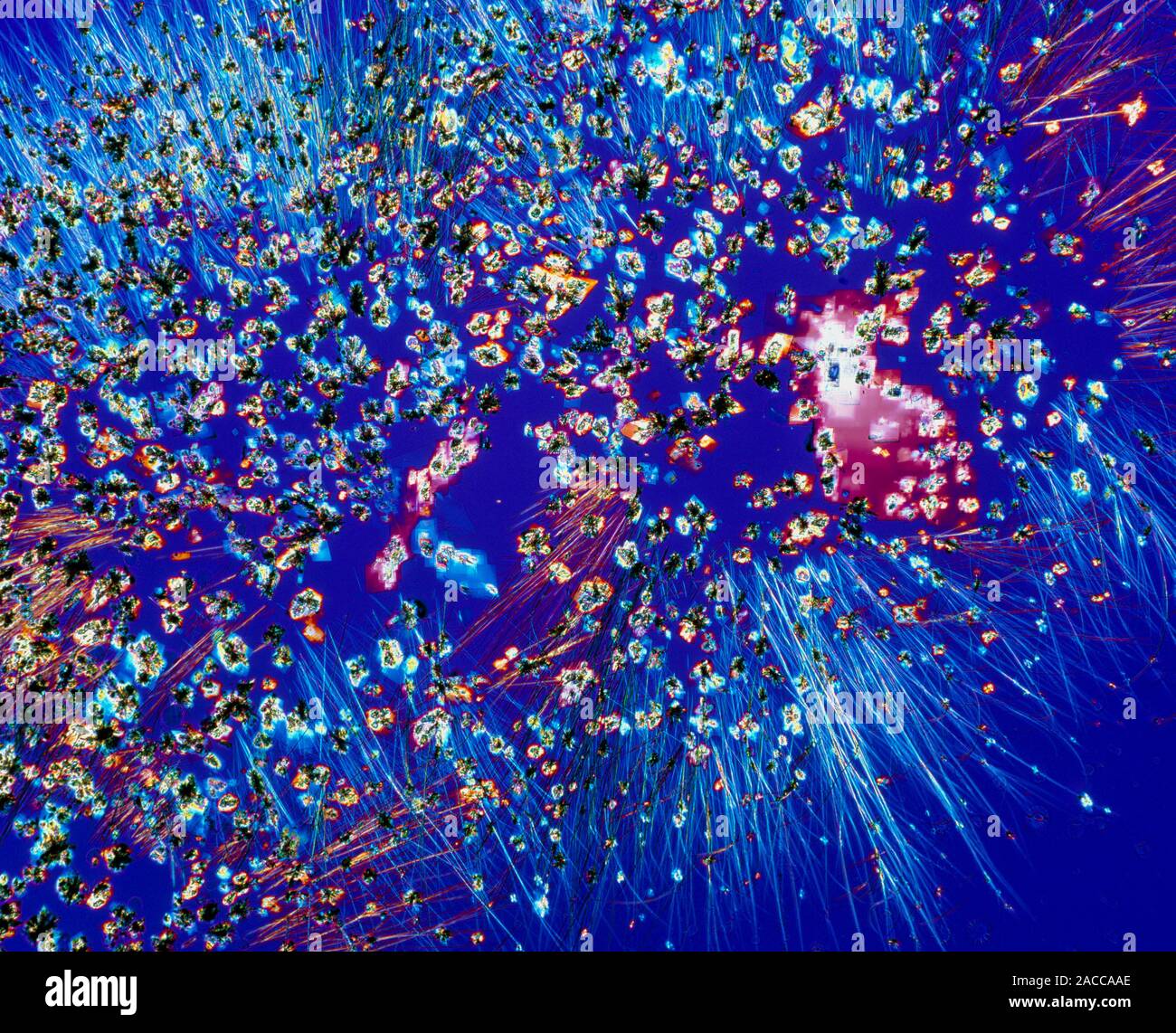 Serotonin. Polarised light micrograph of serotonin, a neurotransmitter ...