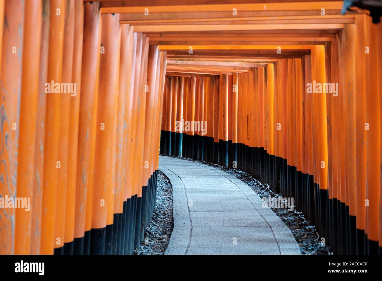 The famous Fushimi Inari gates, medium perspective, Kyoto, Japan Stock ...