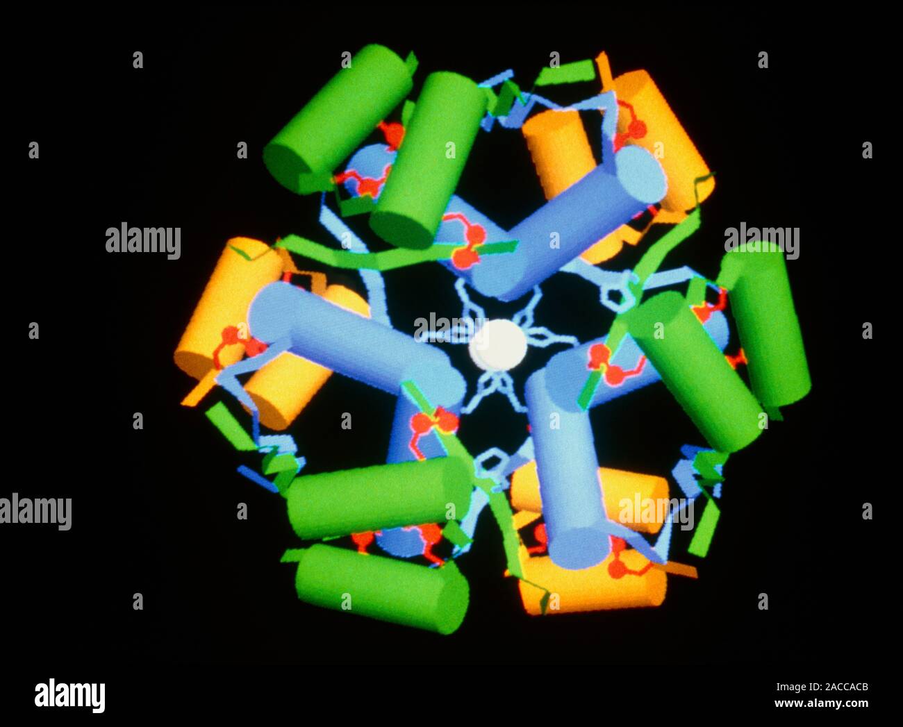Molecular computer graphics of a 2-zinc insulin hormone molecule, (a ... Molecular computer graphics of a 2-zinc insulin hormone molecule, (a ...