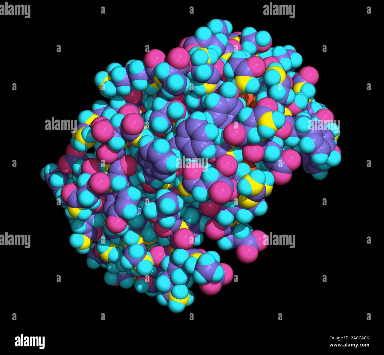 Insulin. Computer artwork of a molecule of the hormone insulin ...