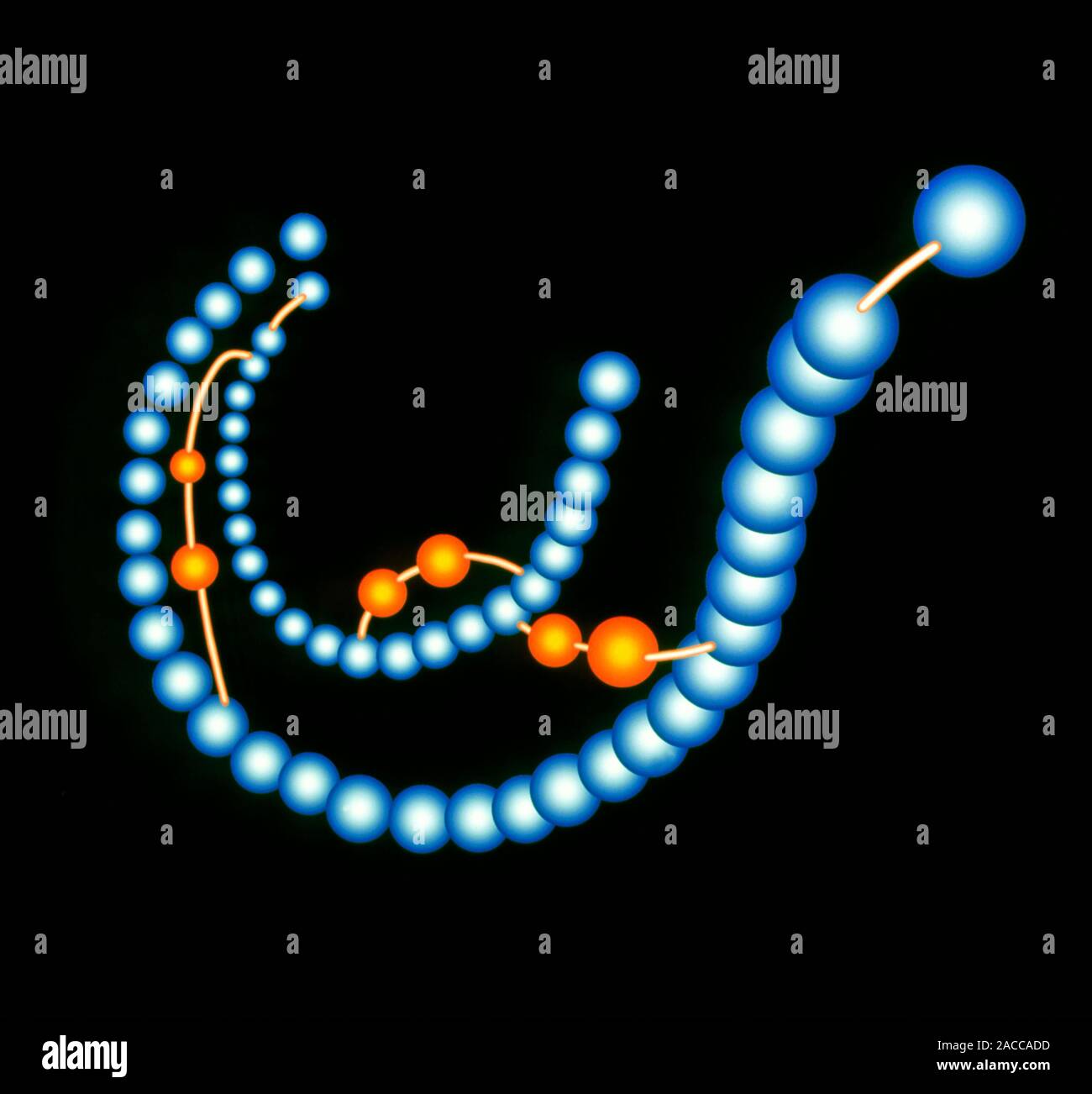 Insulin. Computer artwork of a molecule of the hormone insulin ...