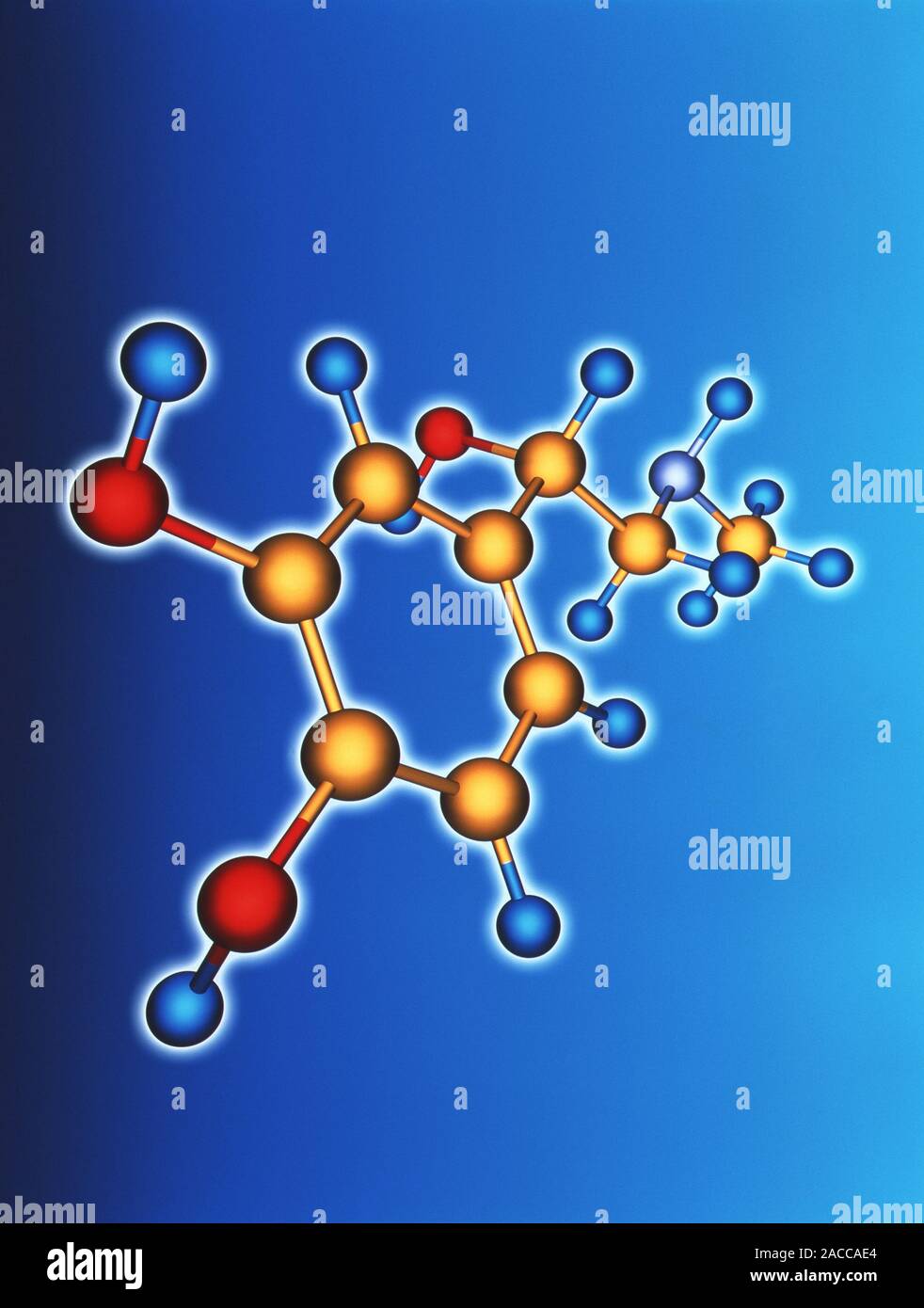 Adrenaline. Molecular model of the hormone adrenaline, or epinephrine ...