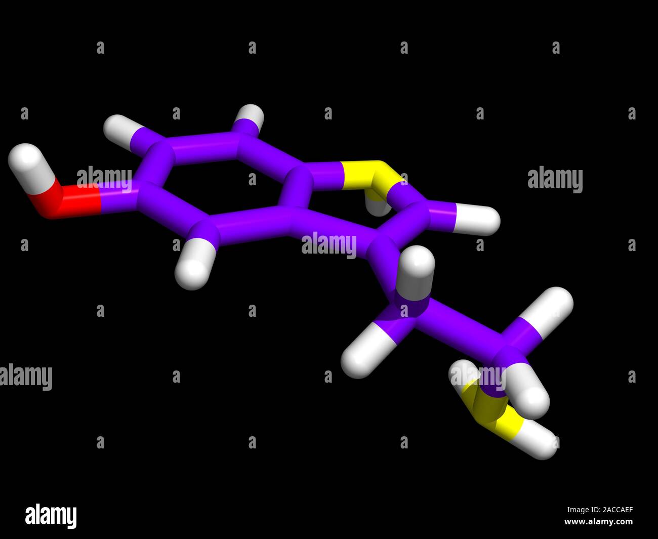 Serotonin Computer Model Of A Molecule Of The Neurotransmitter Serotonin 5 Hydroxytryptamine