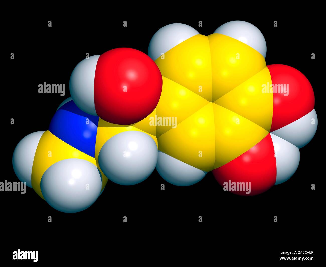 Adrenaline molecule. Computer graphic of the hormone adrenaline, or ... Adrenaline molecule. Computer graphic of the hormone adrenaline, or ...