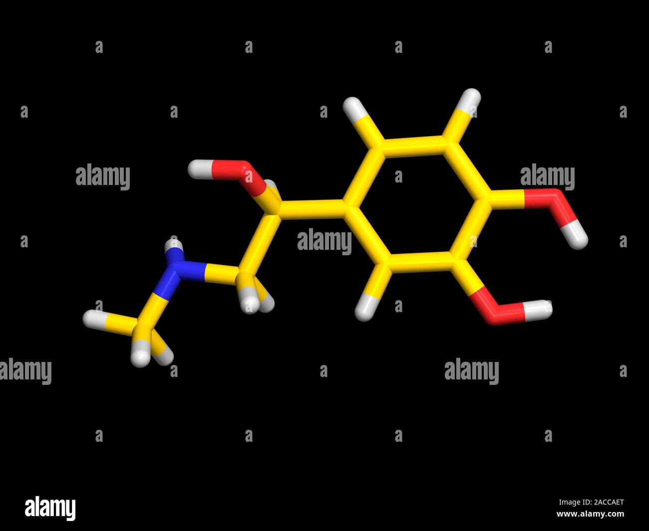 Adrenaline molecule. Computer graphic of the hormone adrenaline, or ...