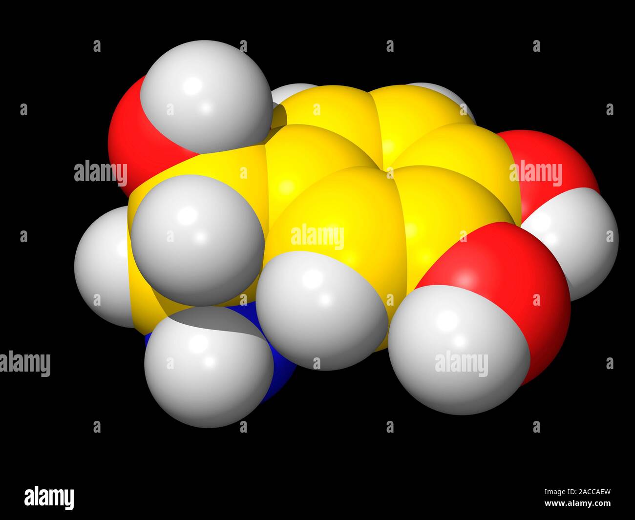Noradrenaline molecule. Computer graphic of the neurotransmitter ...