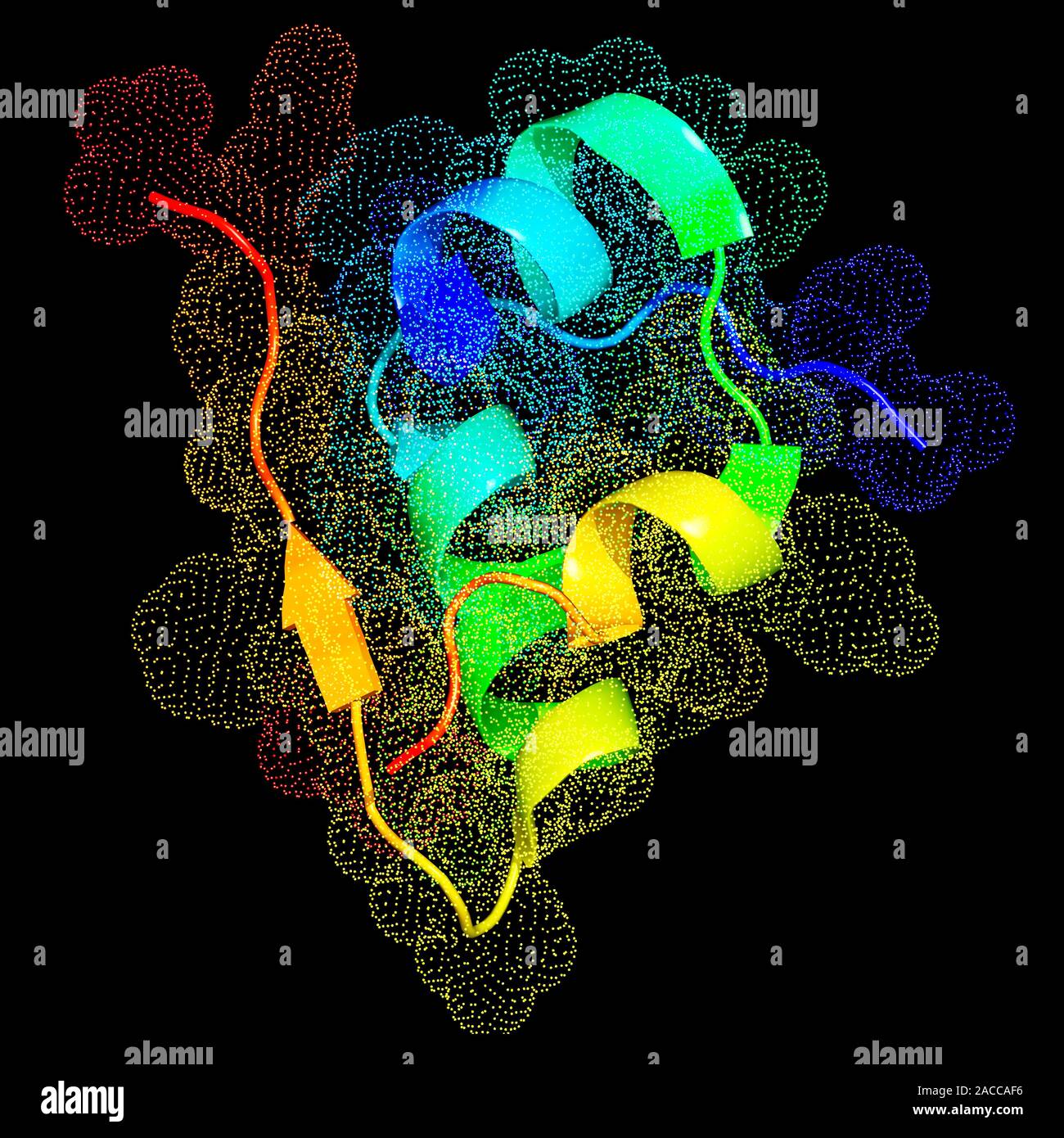 Insulin. Computer artwork of a molecule of insulin. Insulin is a ...