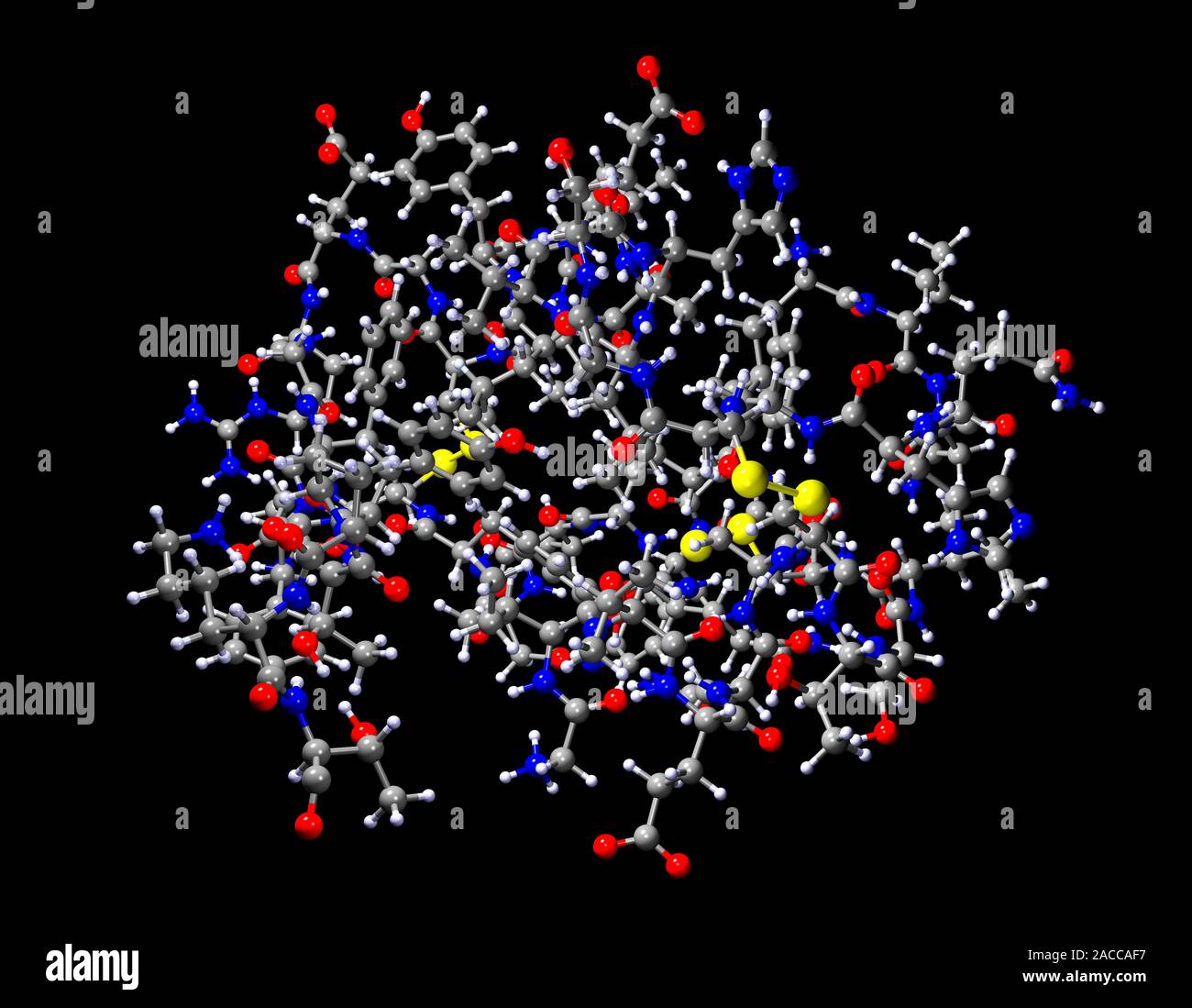 Insulin. Computer artwork of a molecule of insulin. Atoms are ...