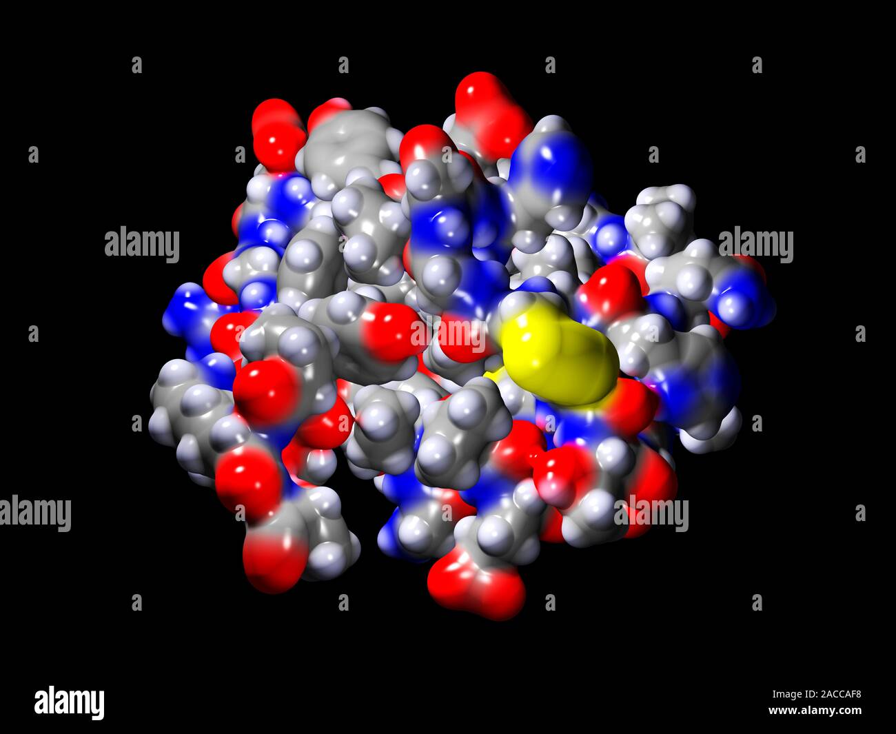 Insulin. Electron density map graphic of the molecular structure of ...