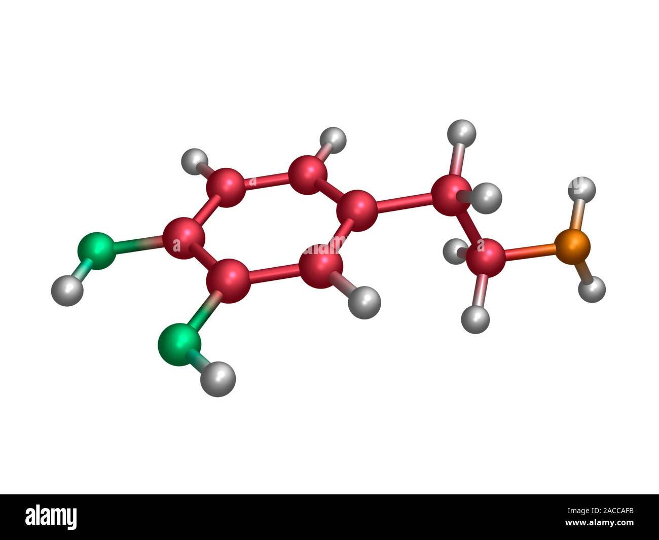 Dopamine molecule. Computer model of a molecule of the neurotransmitter ...