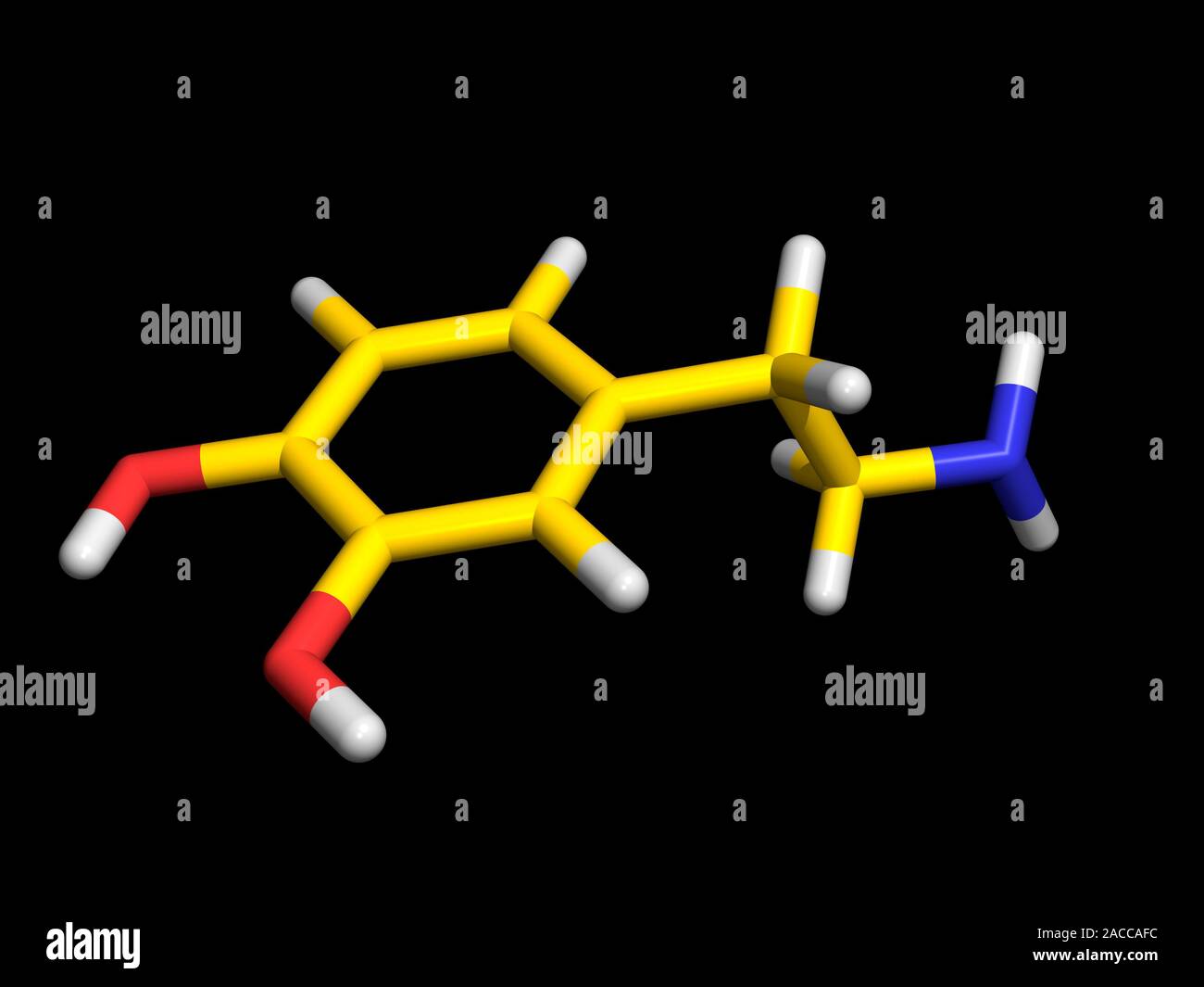 Dopamine molecule. Computer model of a molecule of the neurotransmitter ...