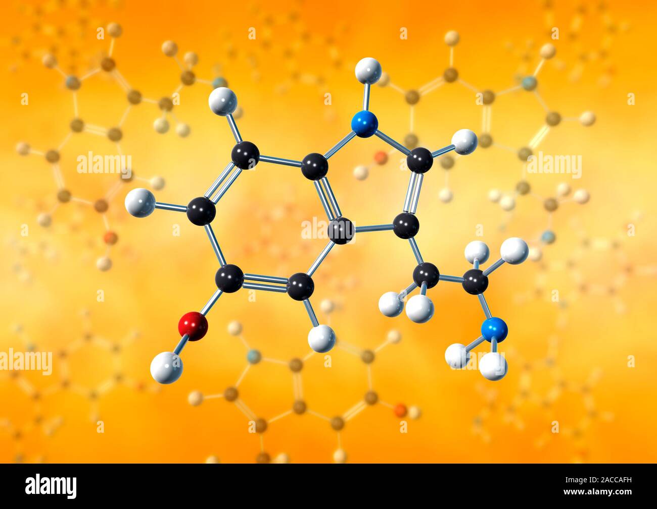 Serotonin Molecule Computer Artwork Of A Molecule Of Serotonin 5 Hydroxytryptamine C10 H12 N2
