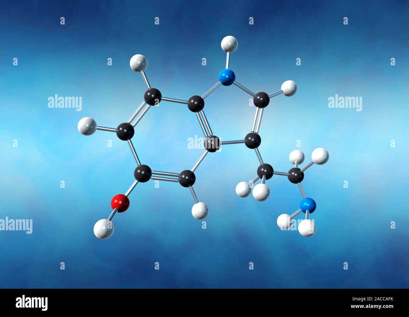 Serotonin Molecule Computer Artwork Of A Molecule Of Serotonin 5 Hydroxytryptamine C10 H12 N2