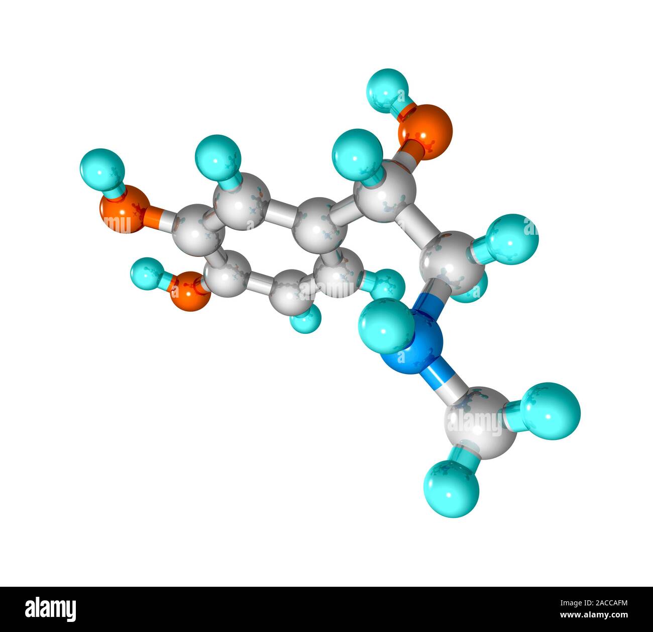 Adrenaline. Computer model of a molecule of the hormone and ...
